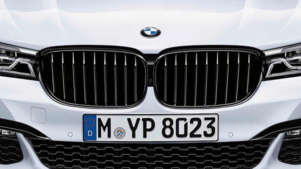 Bmw grille store